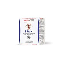 Metanorm Brain Fit Kapseln