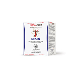 Metanorm Brain Fit Kapseln